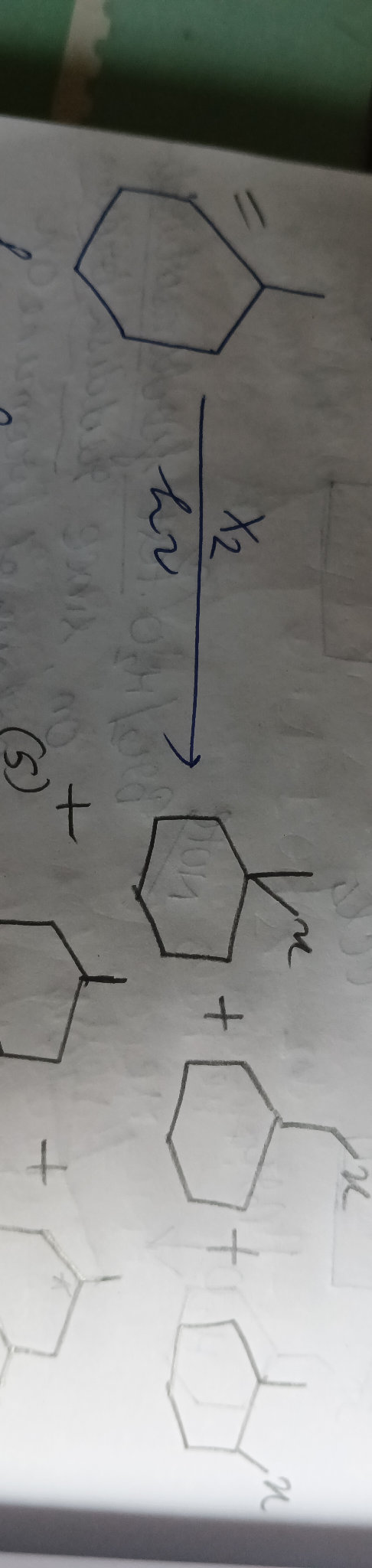 Reaction Scheme: [Image of cyclohexene | StudyX