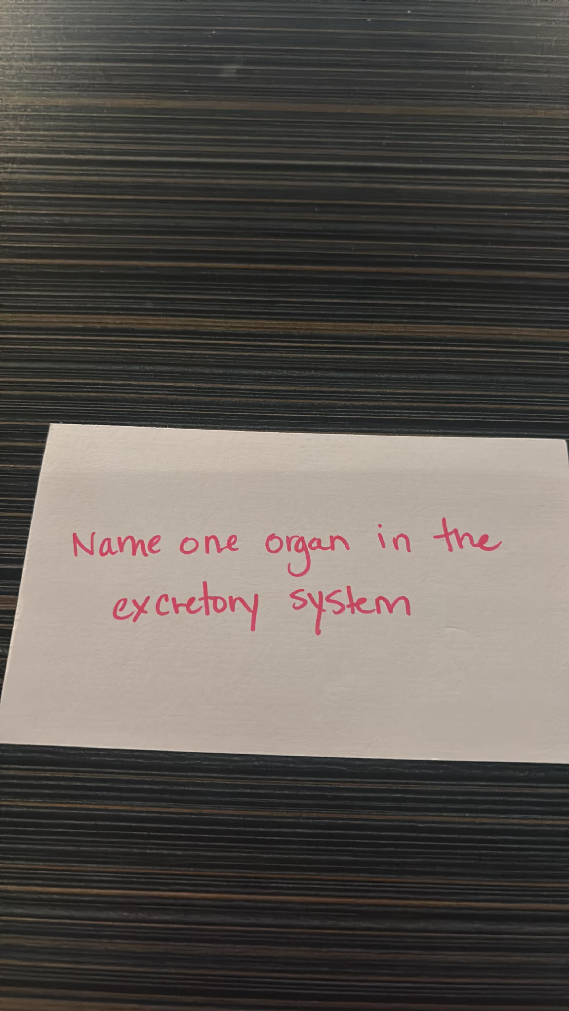 Excretory System Organ Identification | StudyX