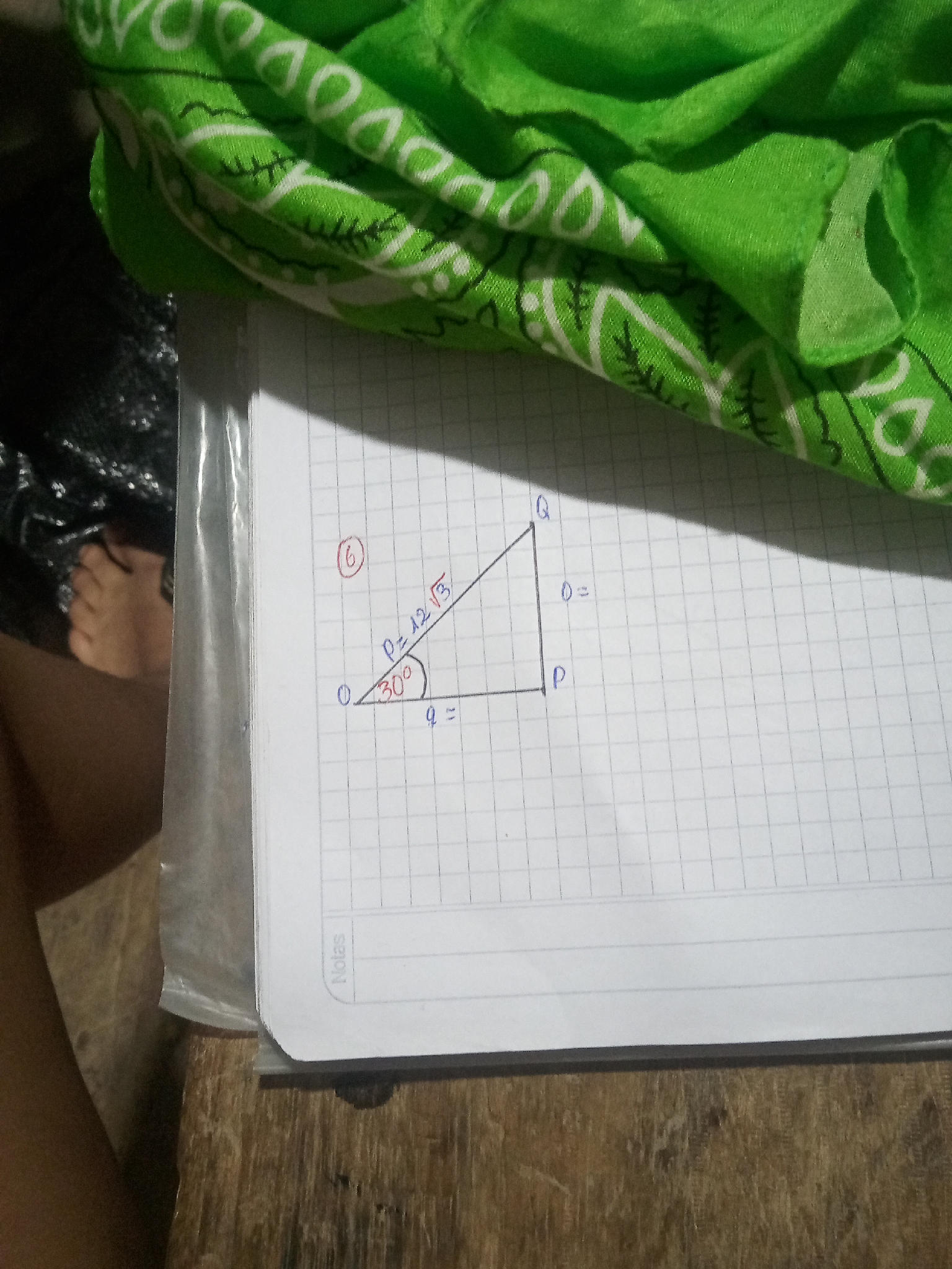 In the right triangle OPQ (assuming the | StudyX