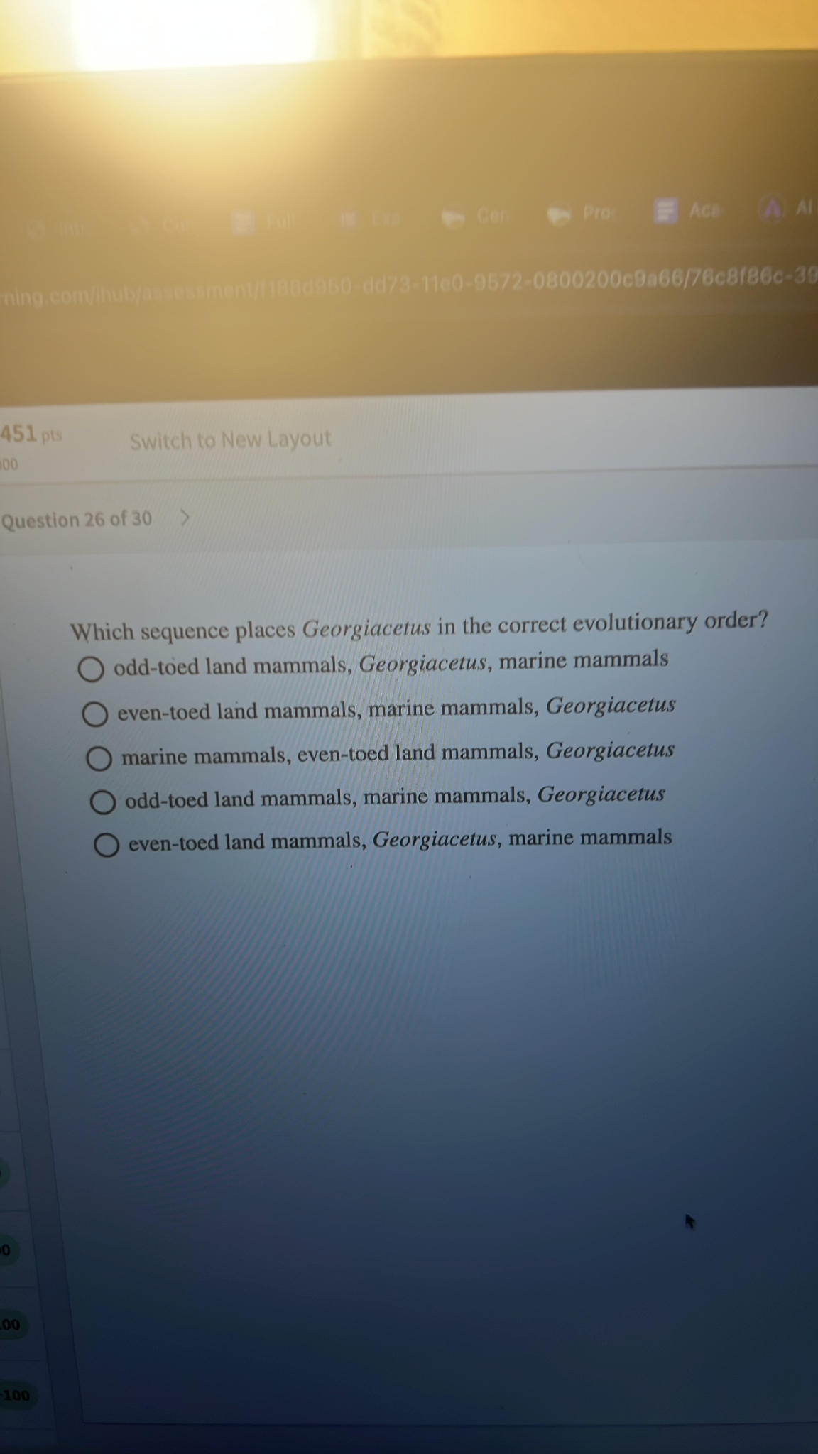 Which sequence places Georgiacetus in the | StudyX