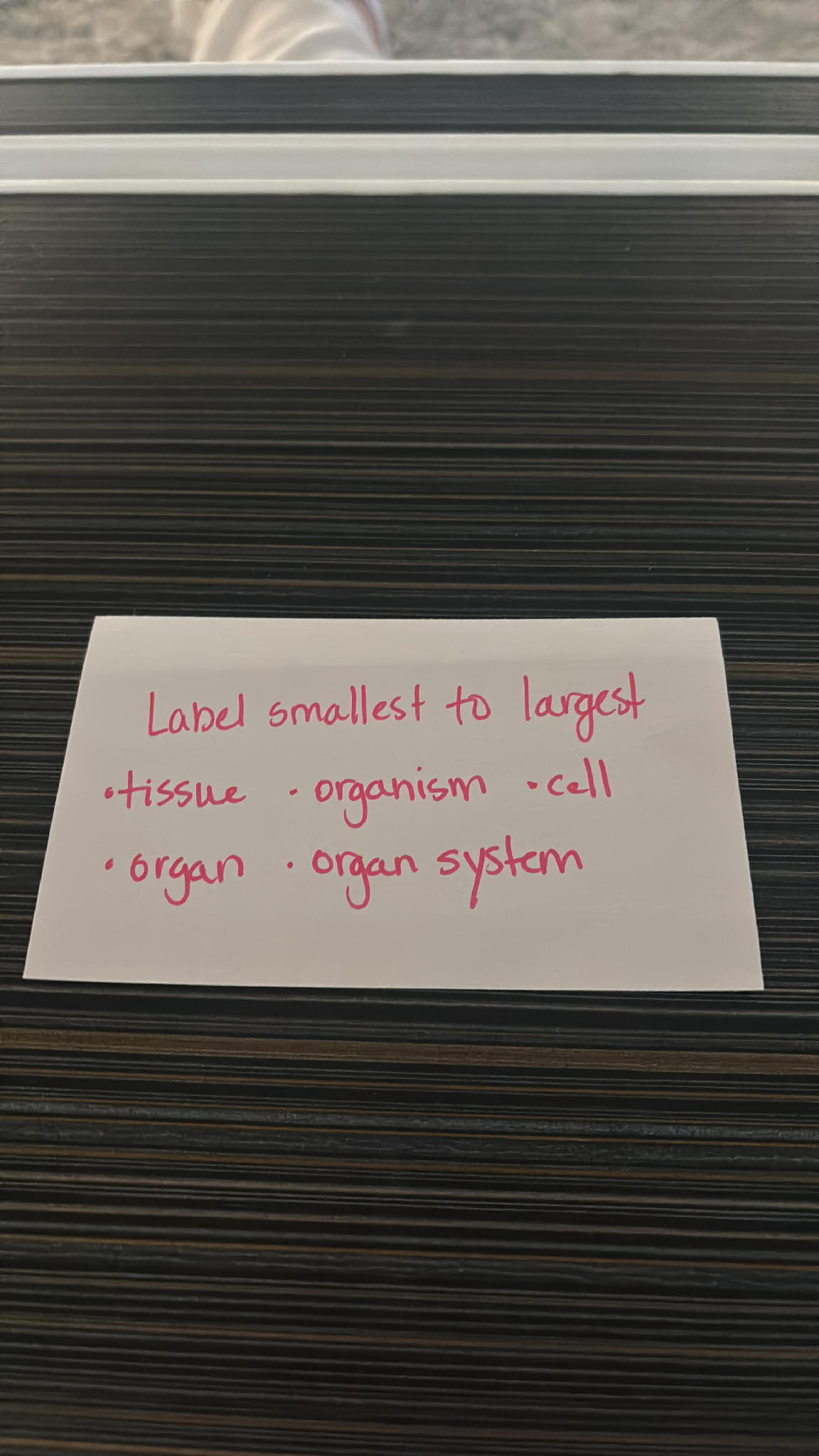 Label smallest to largest - tissue - organ | StudyX