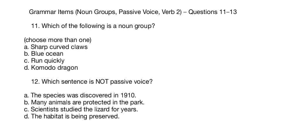 Grammar Items (Noun Groups, Passive Voice, | StudyX