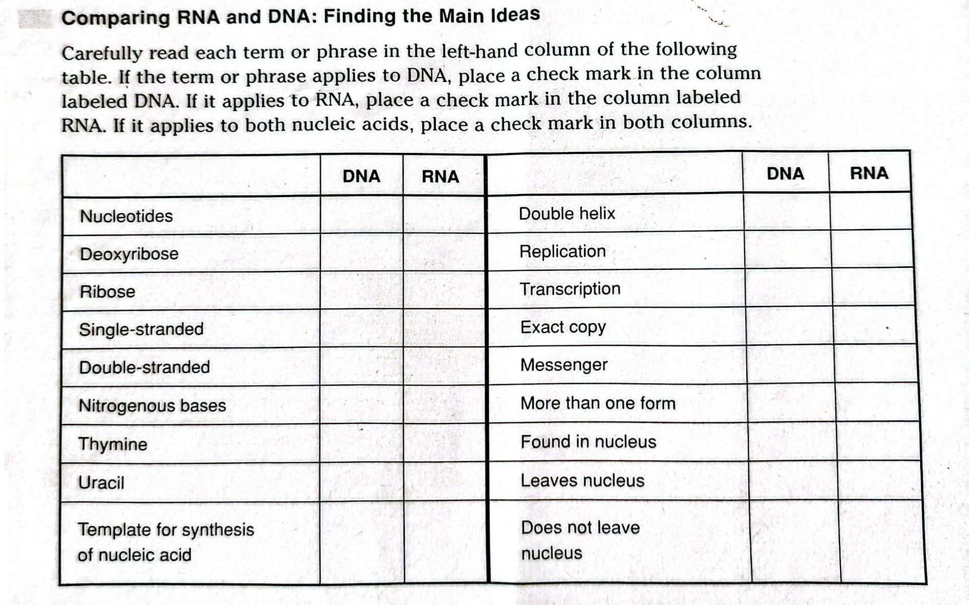 Comparing RNA and DNA: Finding the Main | StudyX
