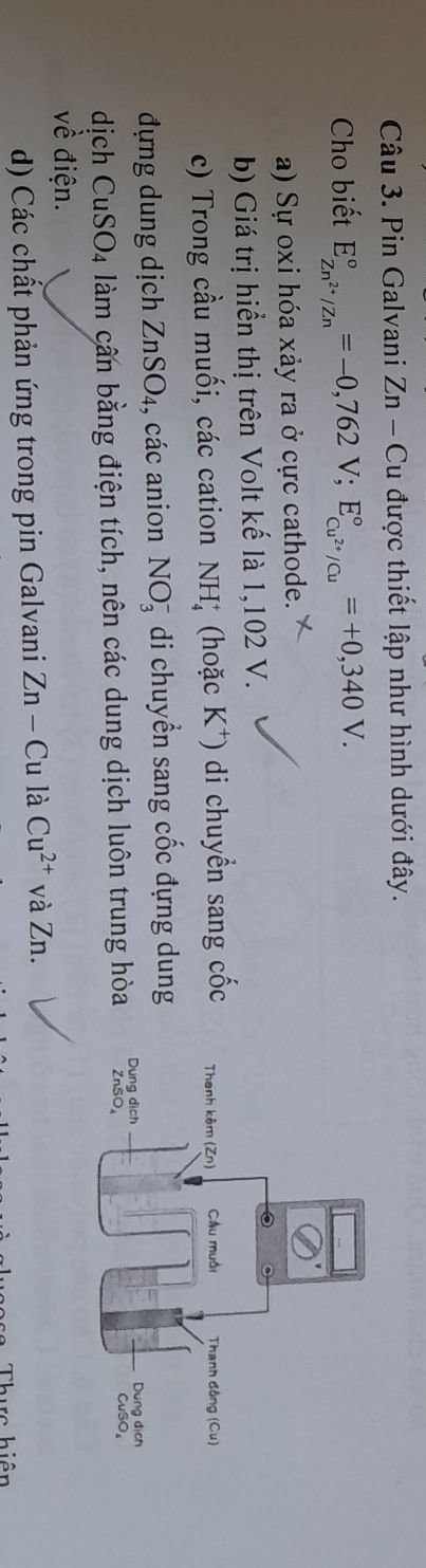 Câu 3. Pin Galvani Zn – Cu được thiết lập | StudyX