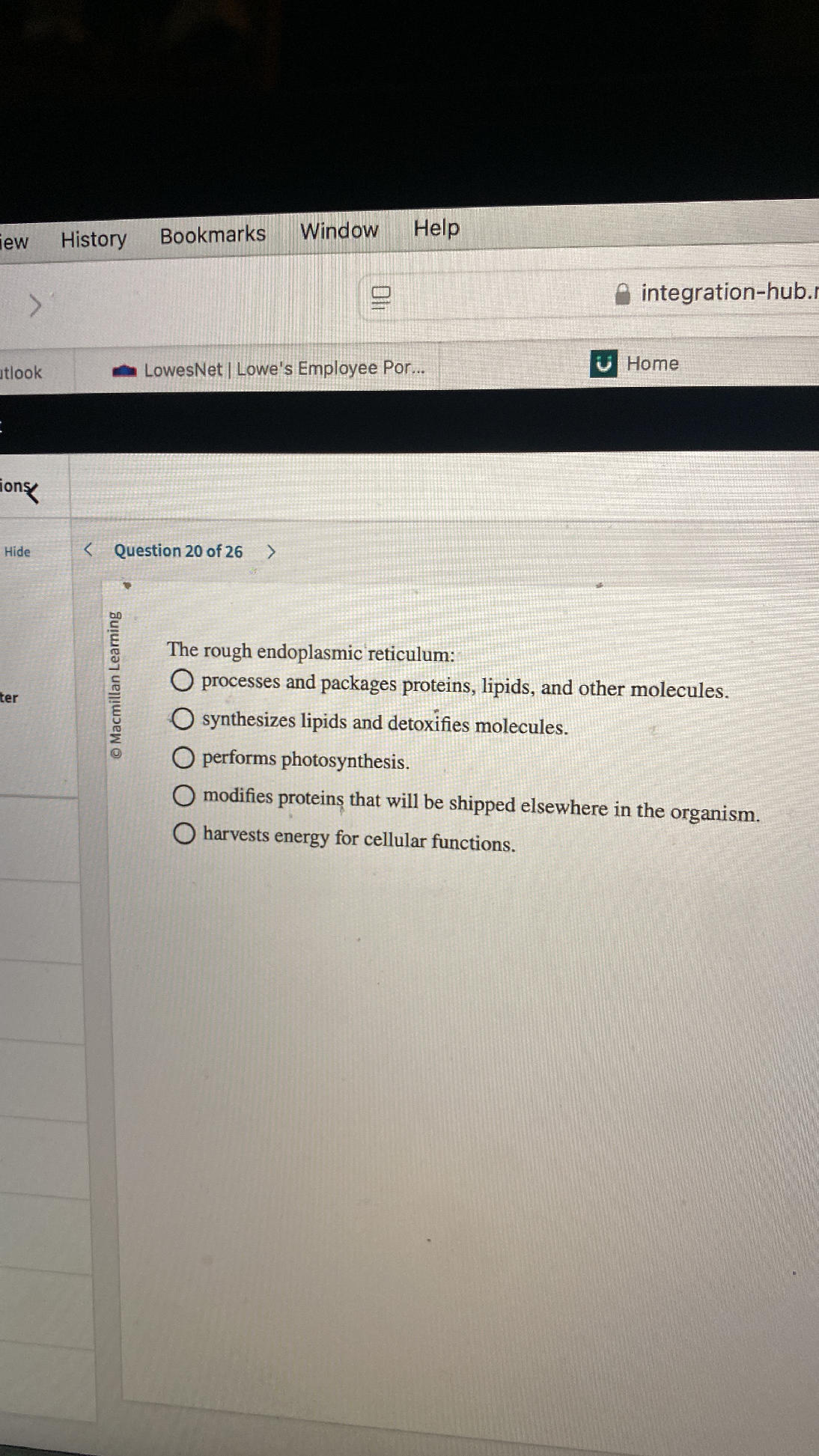 The rough endoplasmic reticulum: processes | StudyX