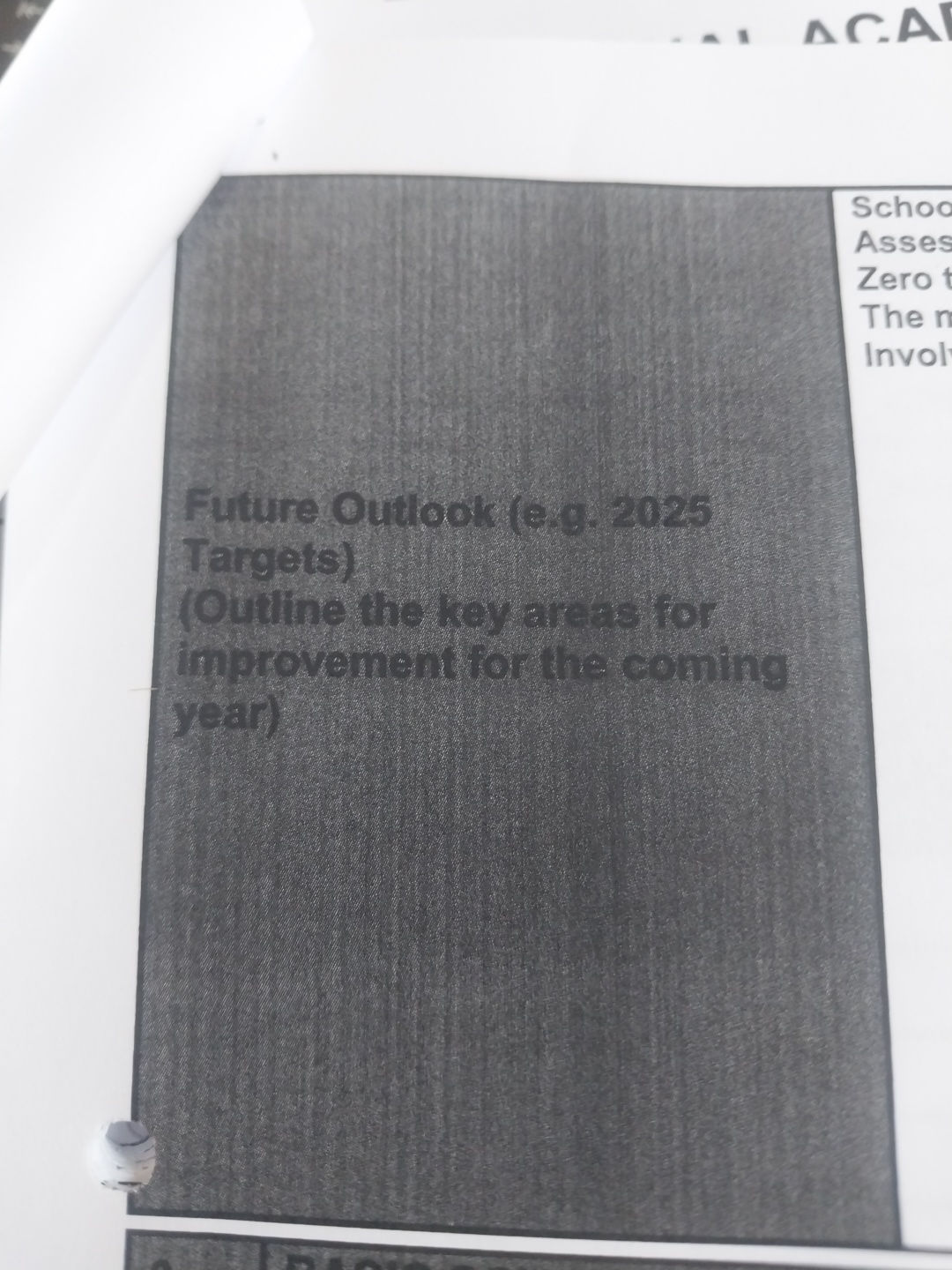 Future Outlook (e.g. 2025 Targets) (Outline | StudyX