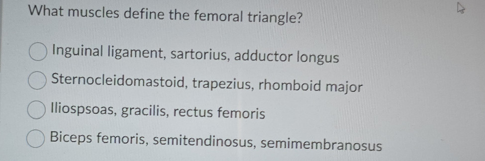 What muscles define the femoral triangle? | StudyX