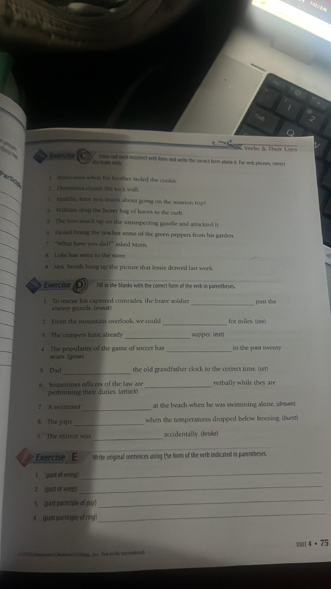 Exercise C Cross out each incorrect verb | StudyX