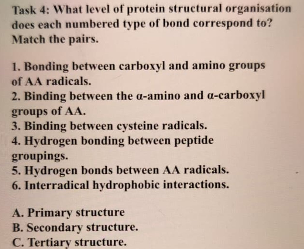 Task 4: What level of protein structural | StudyX