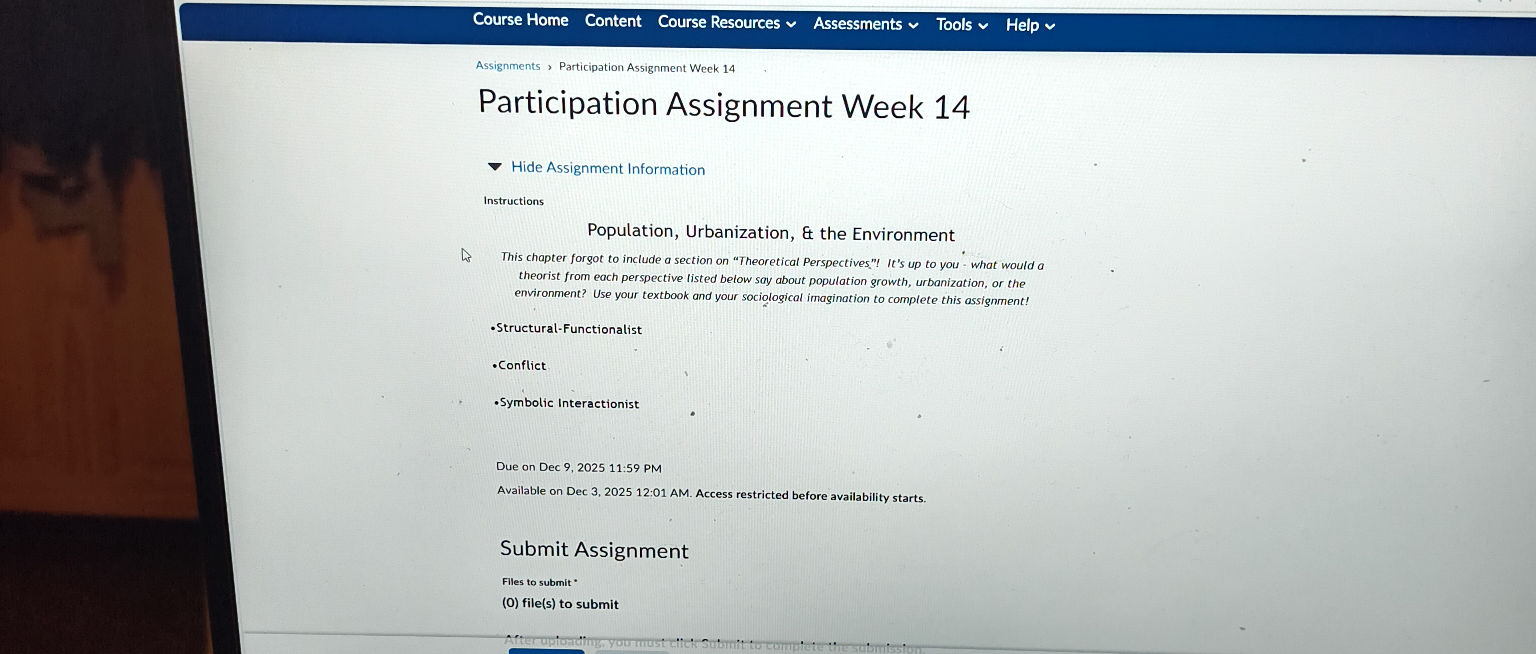 Participation Assignment Week 14 | StudyX