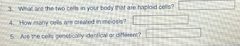 3. What are the two cells in your body that | StudyX