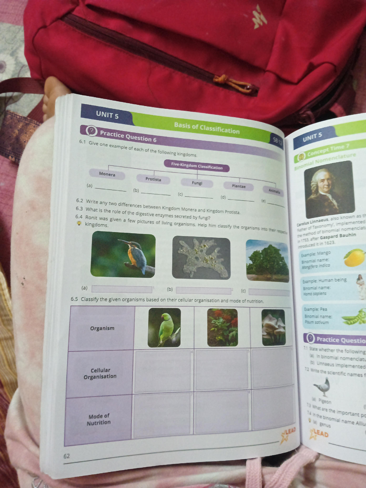 Give one example of each of the following | StudyX