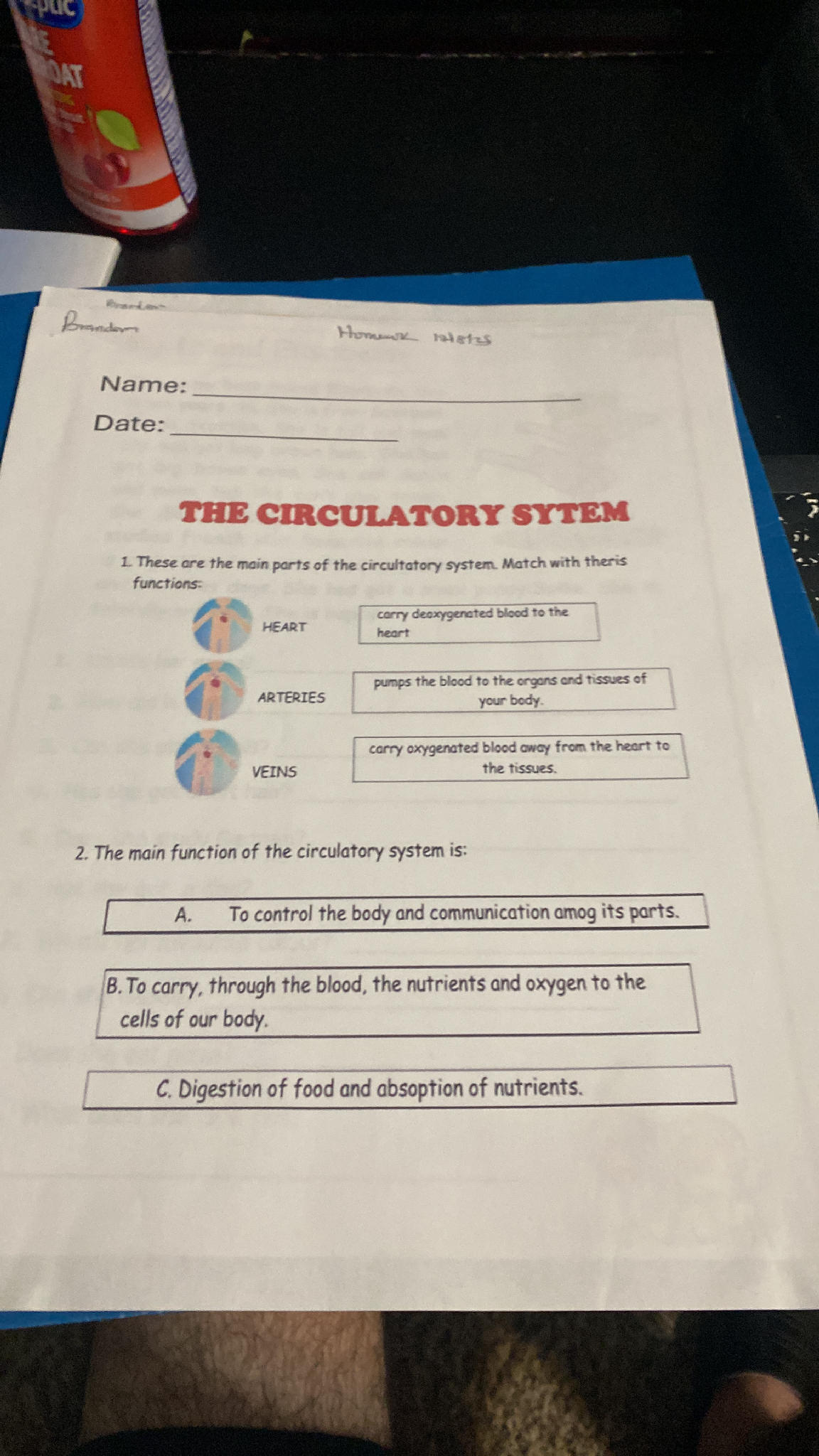 2. The main function of the circulatory | StudyX