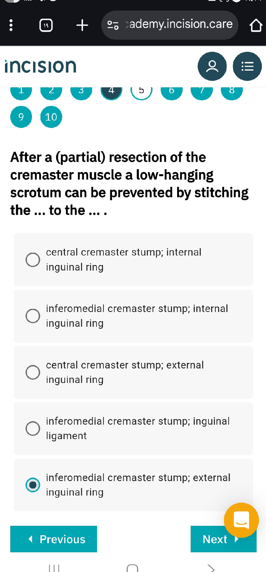 After a (partial) resection of the cremaster | StudyX