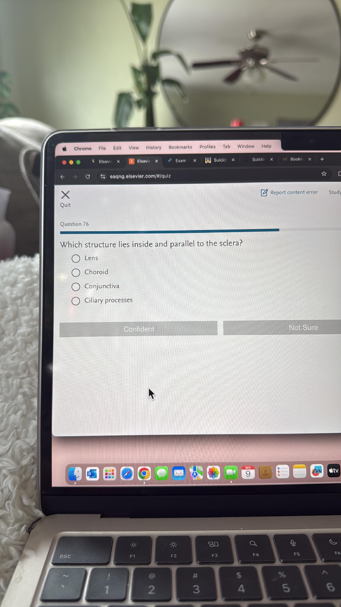 Which structure lies inside and parallel to | StudyX