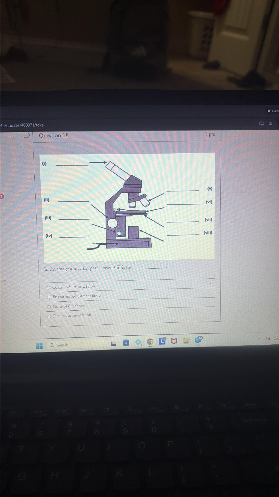 In the image above the part labeled (iii) is | StudyX