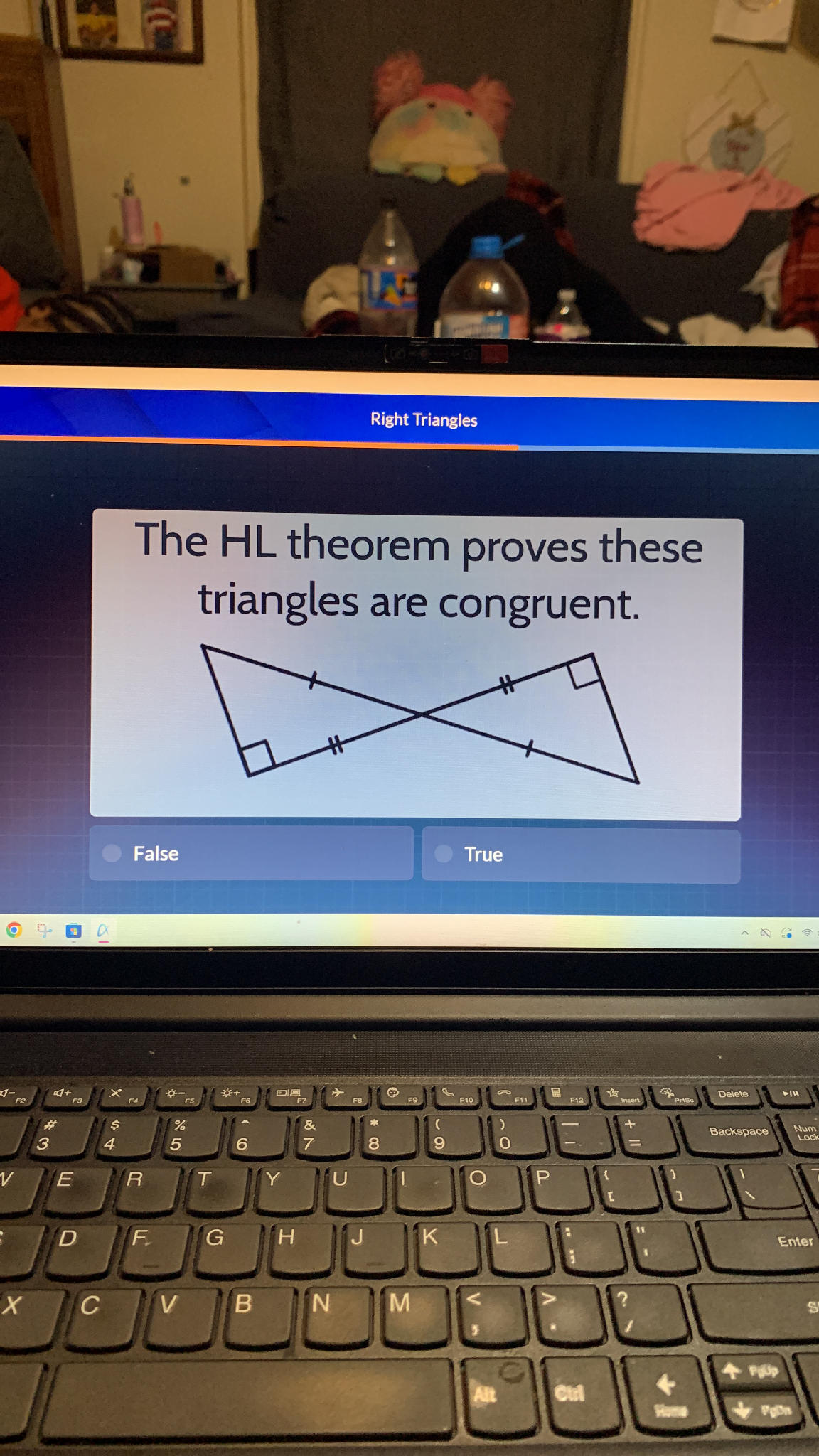 The HL theorem proves these triangles are | StudyX