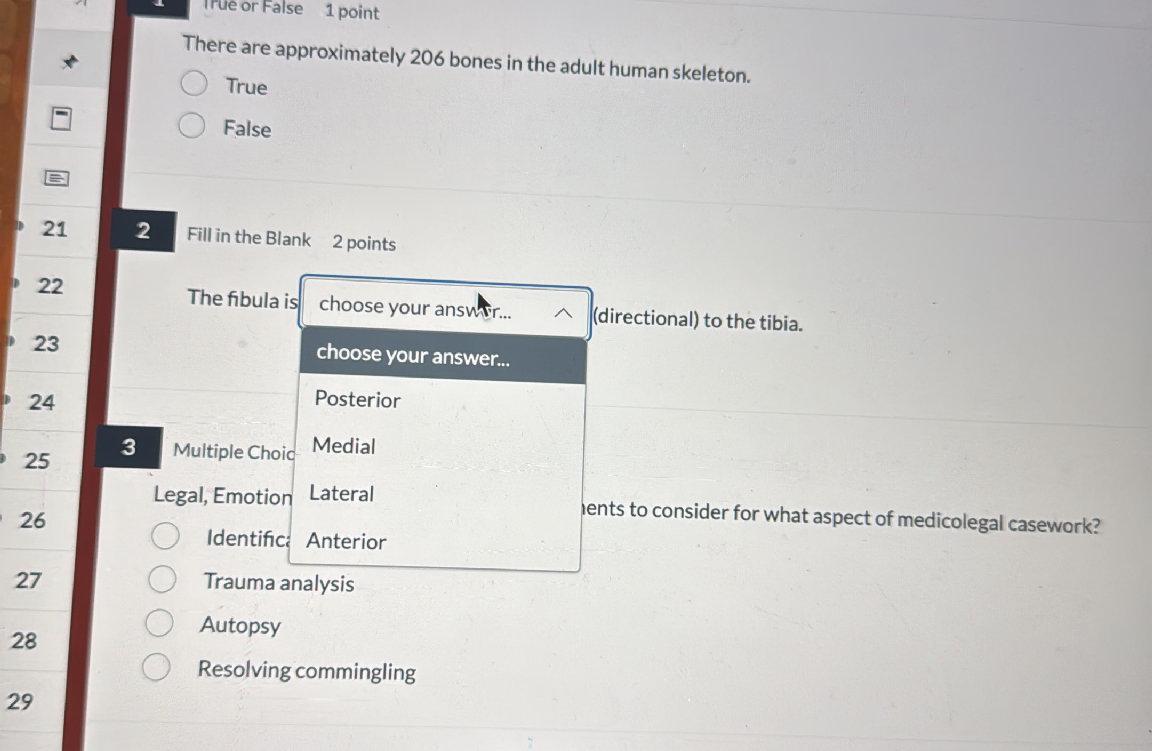 Fill in the Blank 2 points The fibula is | StudyX