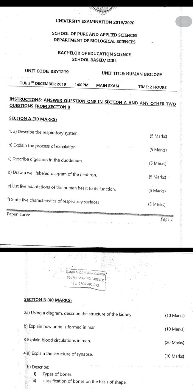 INSTRUCTIONS: ANSWER QUESTION ONE IN SECTION | StudyX