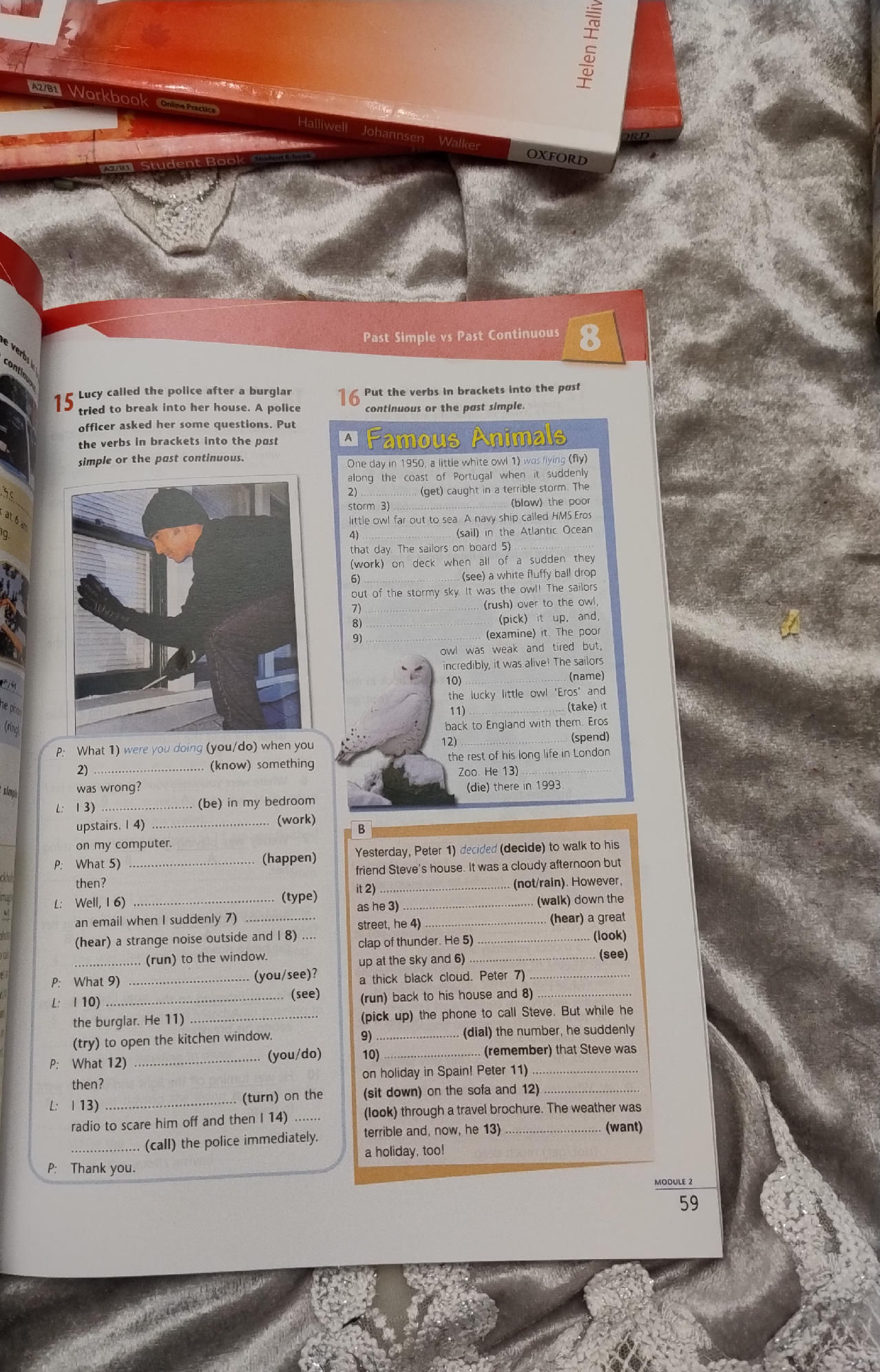 Put the verbs in brackets into the past | StudyX