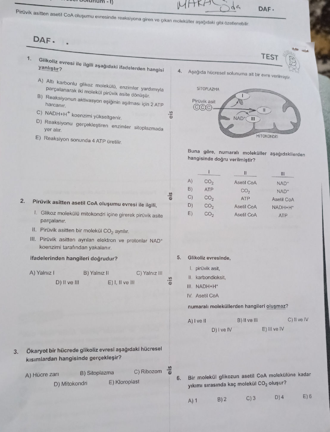 Glikoliz evresi ile ilgili aşağıdaki | StudyX