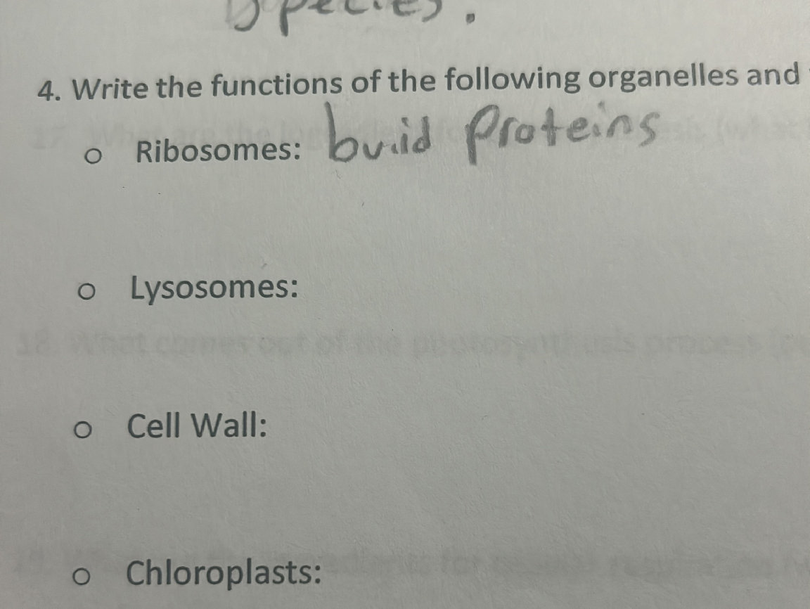 4. Write the functions of the following | StudyX