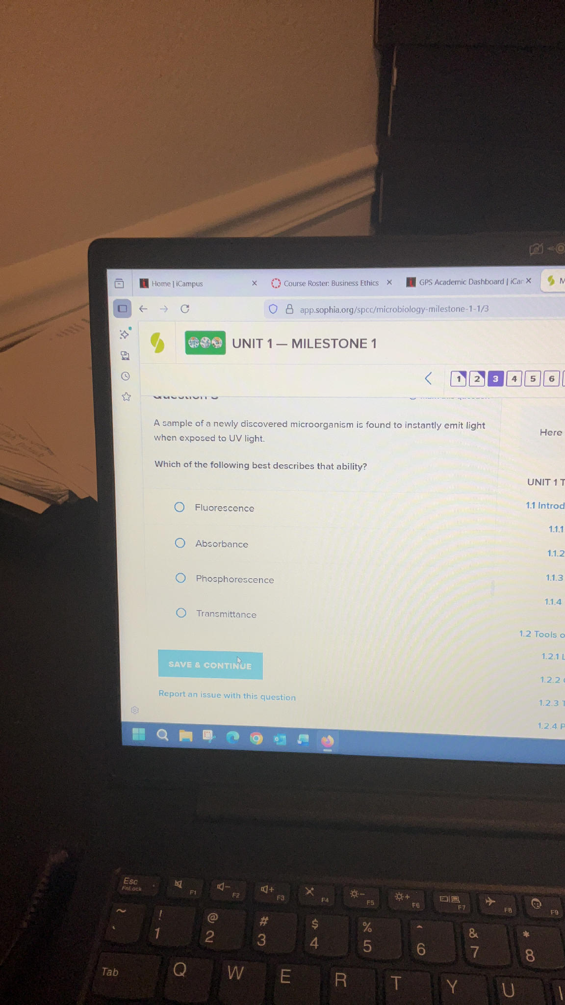 A sample of a newly discovered microorganism | StudyX
