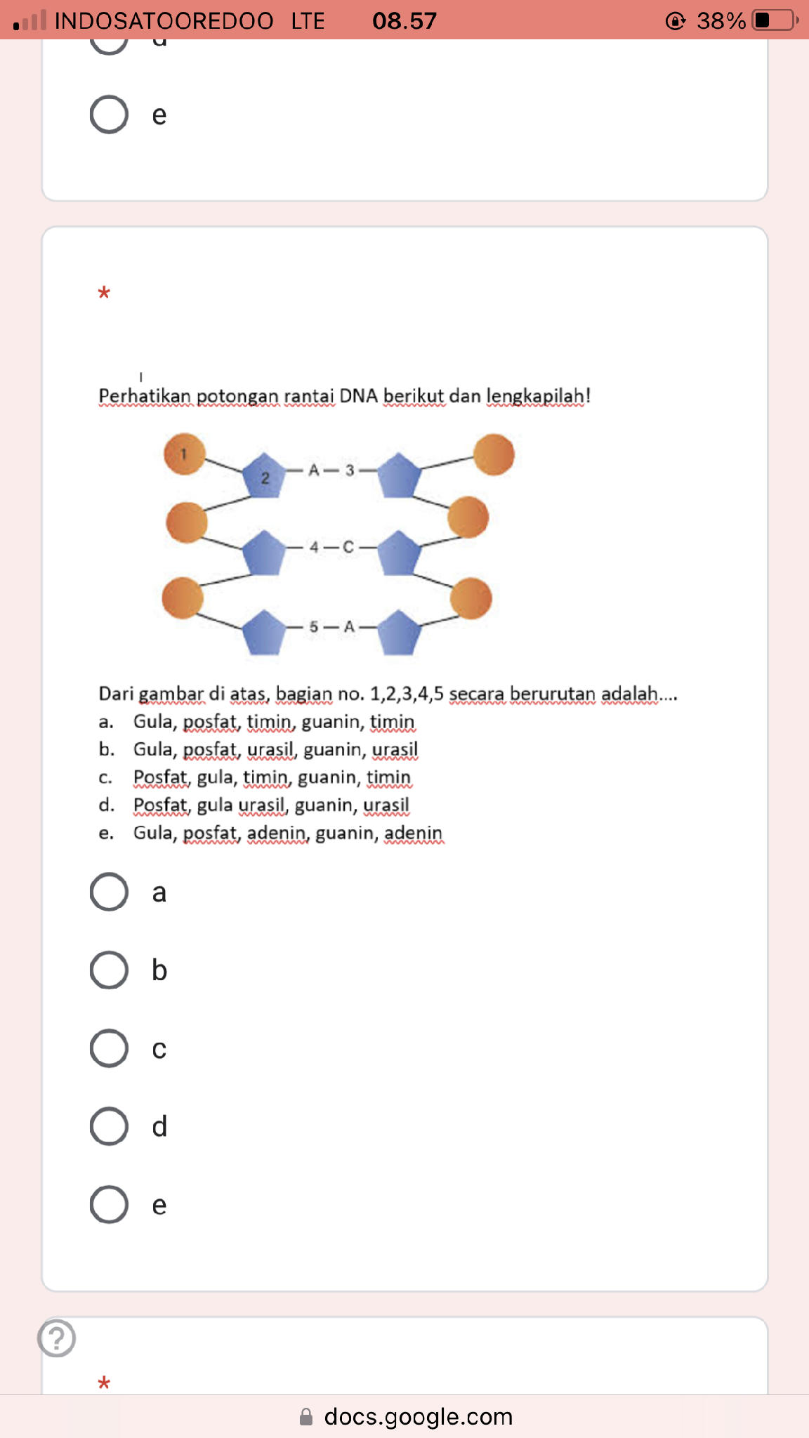 Perhatikan potongan rantai DNA berikut dan | StudyX