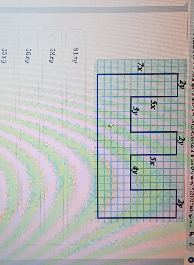 What is the area of the shape? 91xy 58xy | StudyX