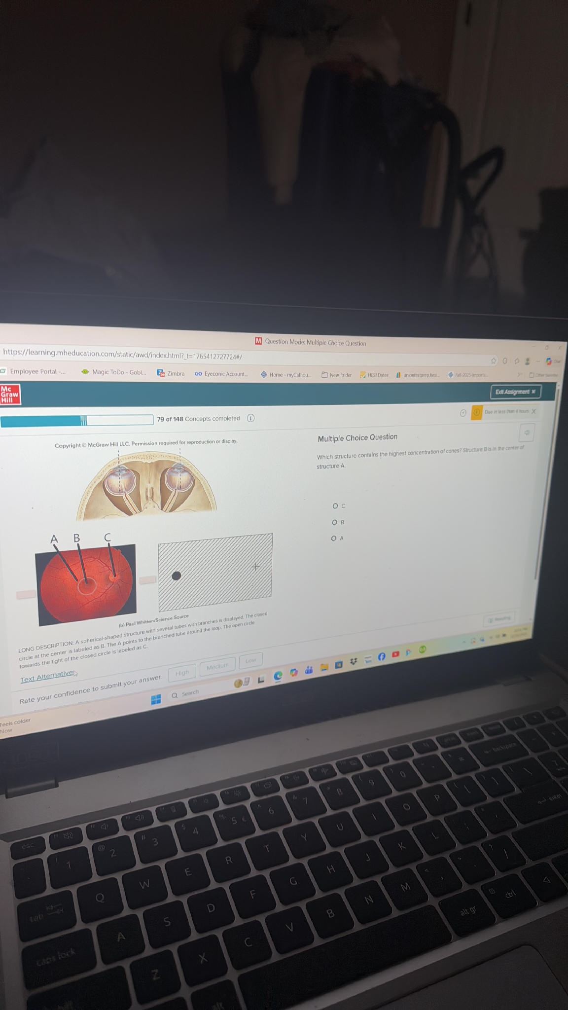 Multiple Choice Question Which structure | StudyX
