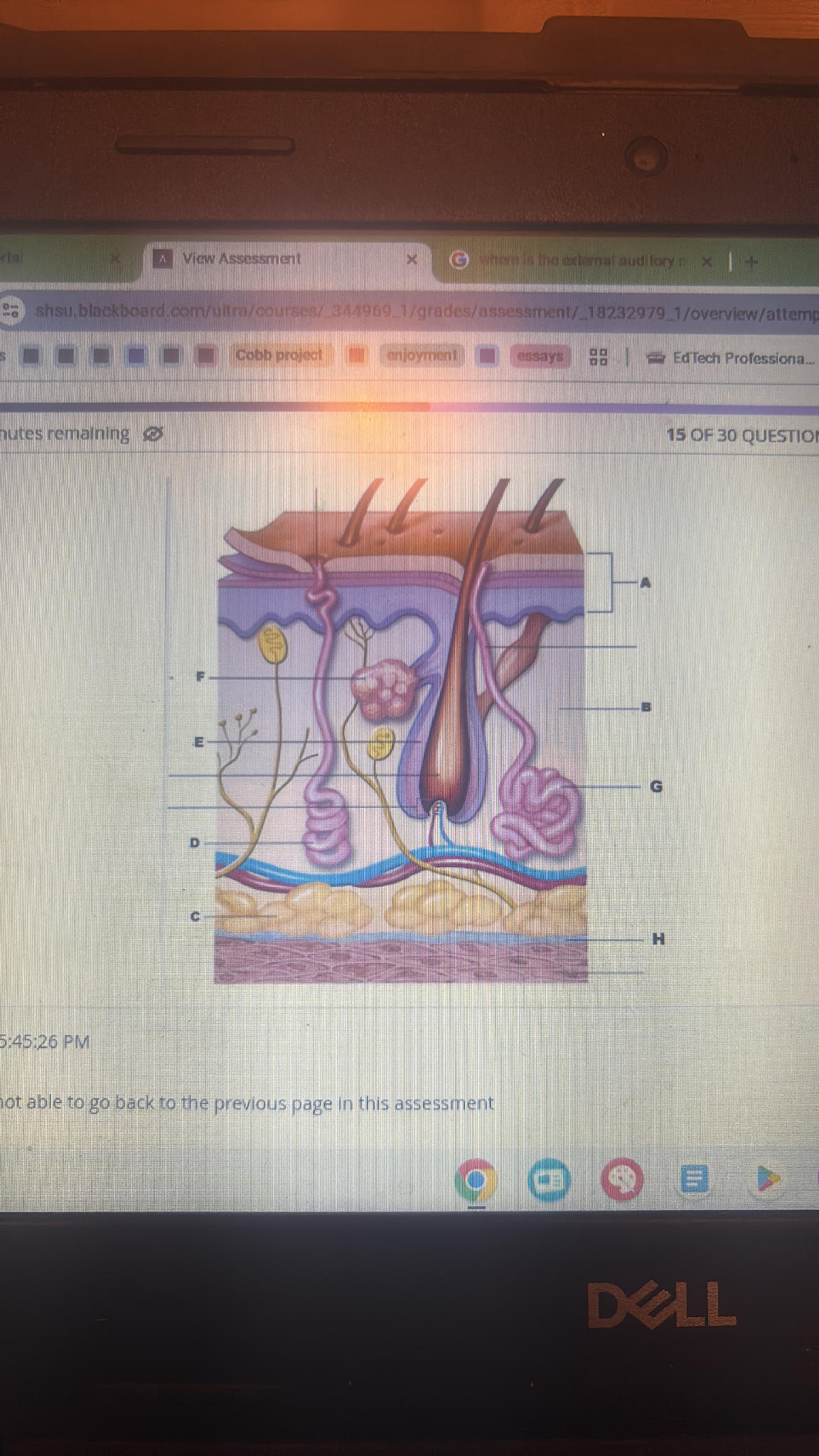 Identify the labeled parts in the diagram of | StudyX