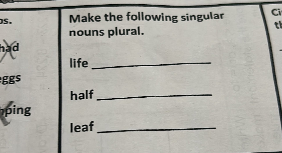 Make the following singular nouns plural. | StudyX