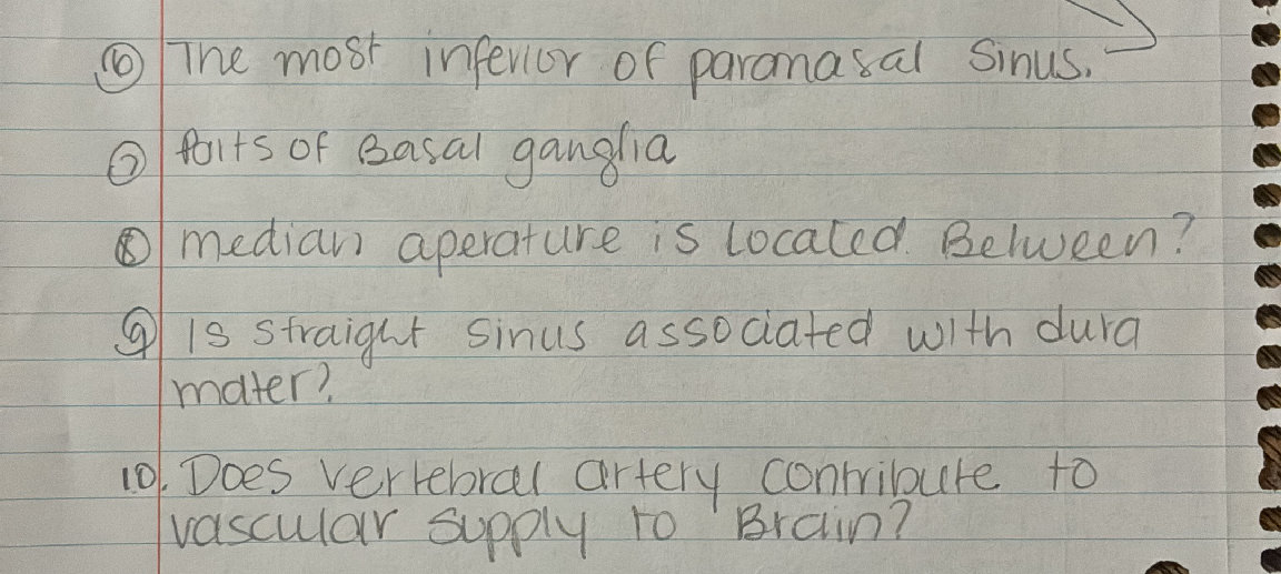 Parts of basal ganglia | StudyX