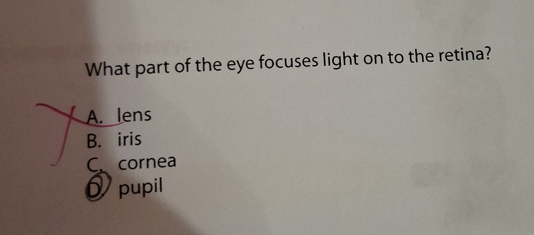 What part of the eye focuses light on to the | StudyX