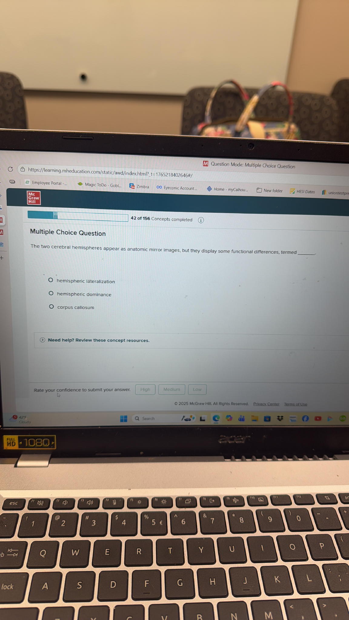 Multiple Choice Question The two cerebral | StudyX