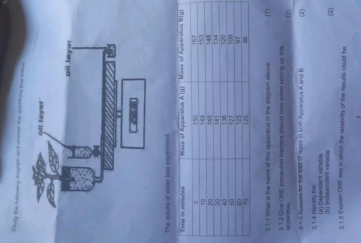 Study the following diagram and answer the | StudyX