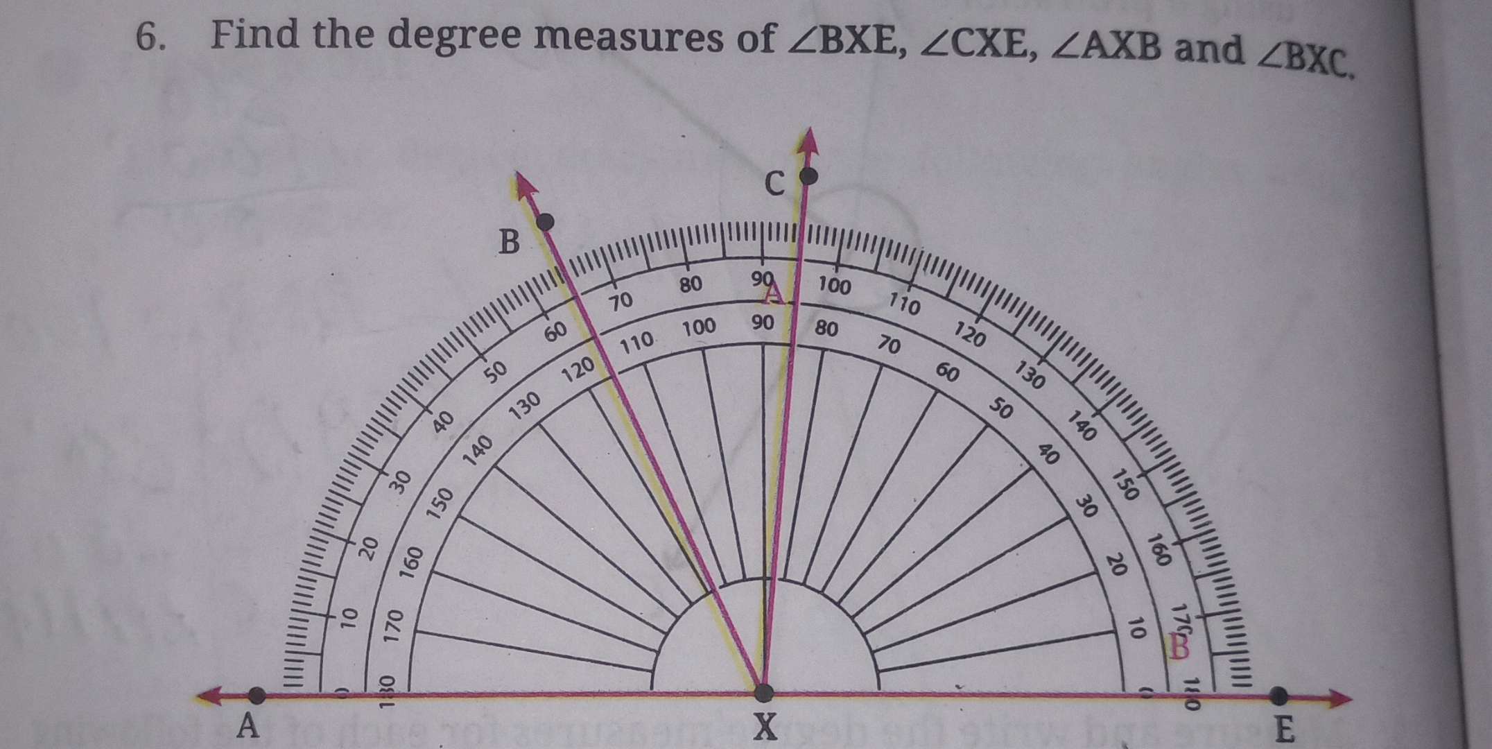 6 Find the degree measures of BXE CXE | StudyX