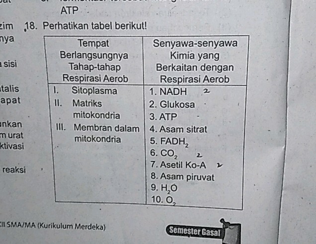 ATP 18 Perhatikan tabel berikut II SMA/MA | StudyX