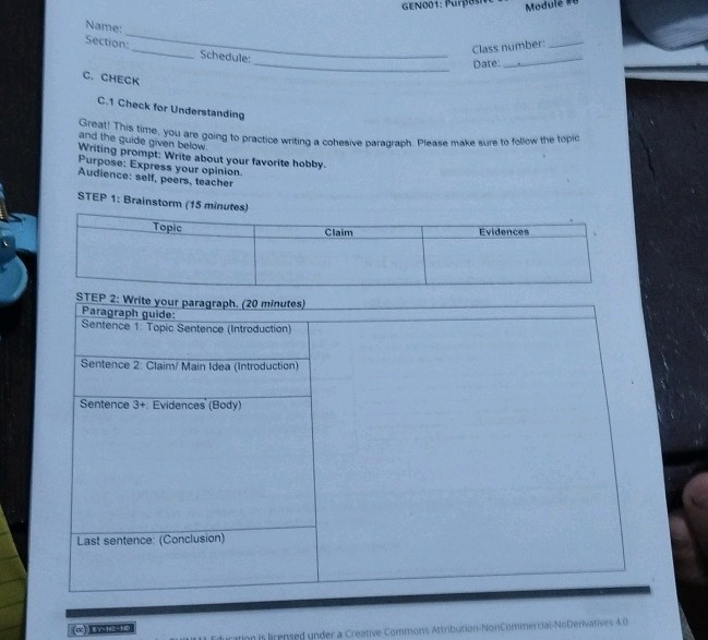 Module O Name Section Schedule C CHECK | StudyX