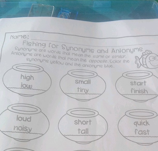 Name Fishing for Synonyms and Antonyms | StudyX