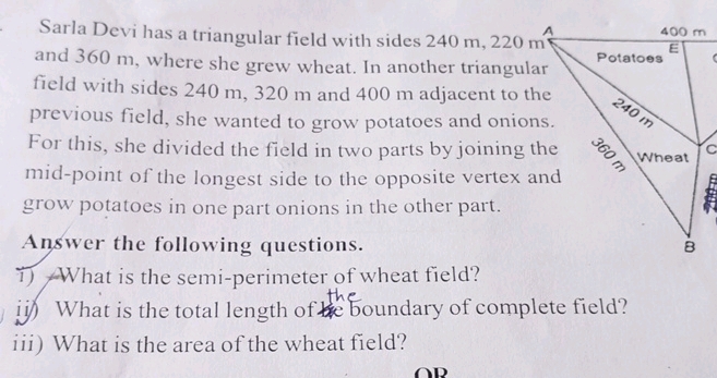 Sarla Devi has a triangular field with | StudyX