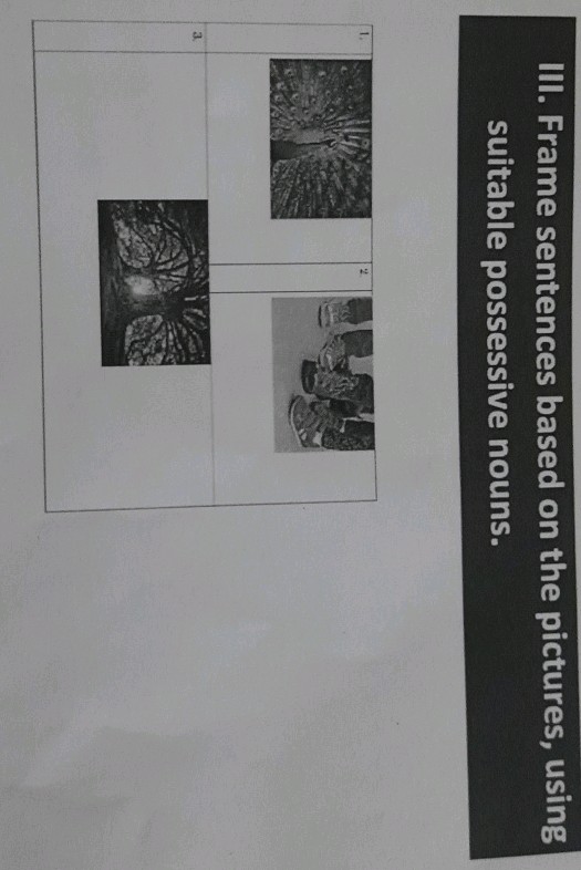 III Frame sentences based on the pictures | StudyX