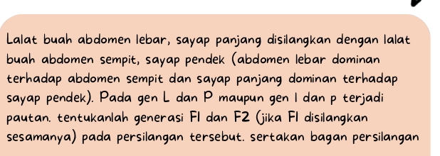Lalat buah abdomen lebar sayap panjang | StudyX