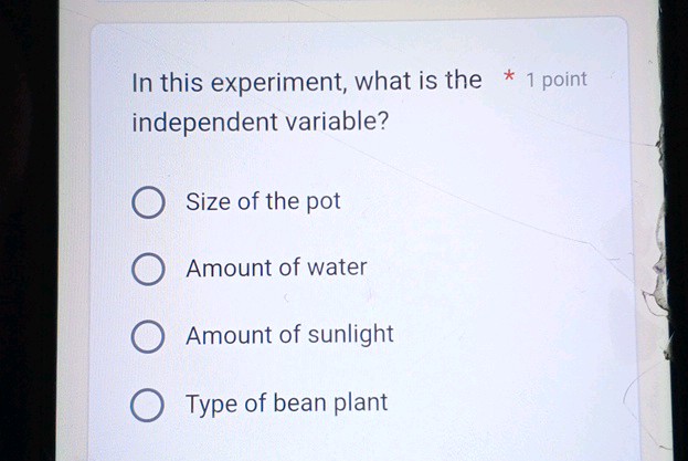 In this experiment what is the 1 point | StudyX