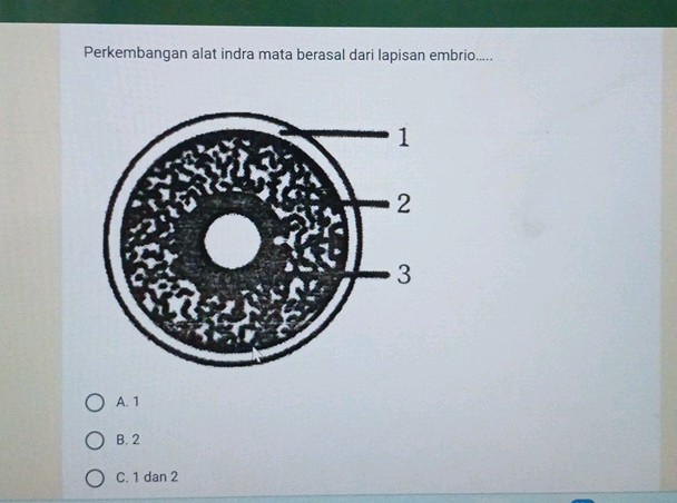 Perkembangan alat indra mata berasal dari | StudyX