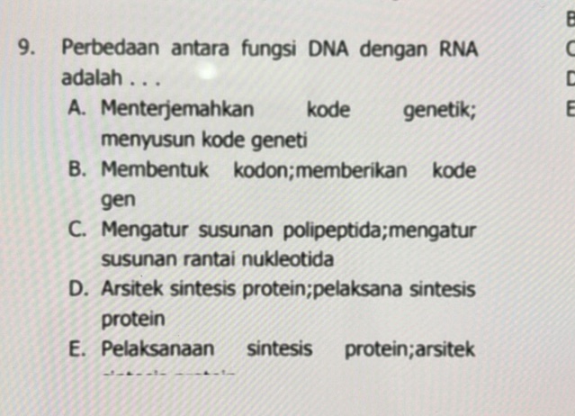 9 Perbedaan antara fungsi DNA dengan RNA | StudyX