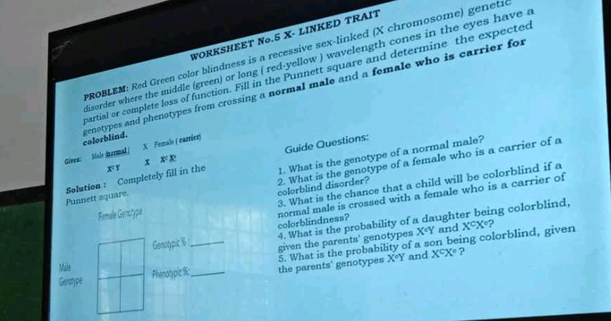 WORKSHEET NO 5 X- LINKED TRAIT PROBLEM Red | StudyX