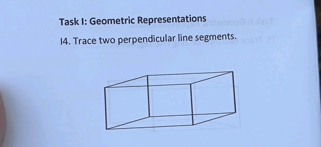 Task I Geometric Representations 14 Trace | StudyX