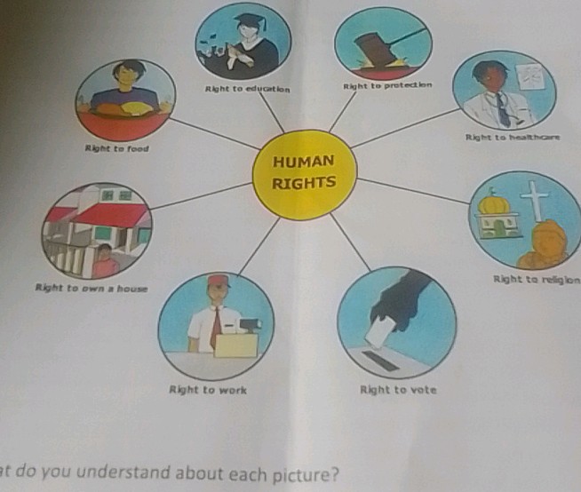 It do you understand about each picture | StudyX