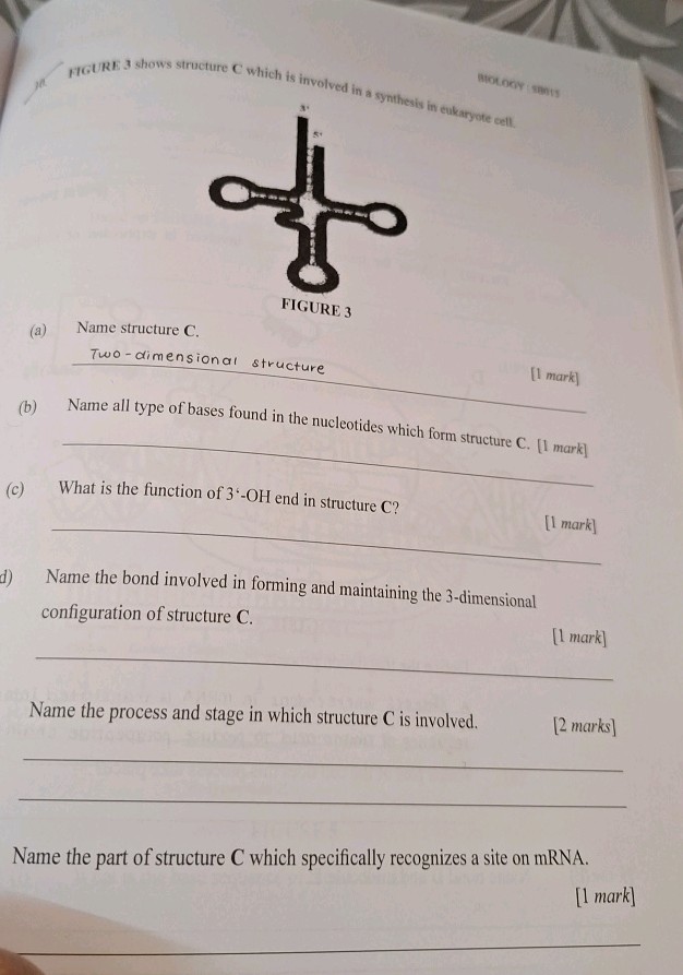 (a) Name structure C FIGURE 3 | StudyX